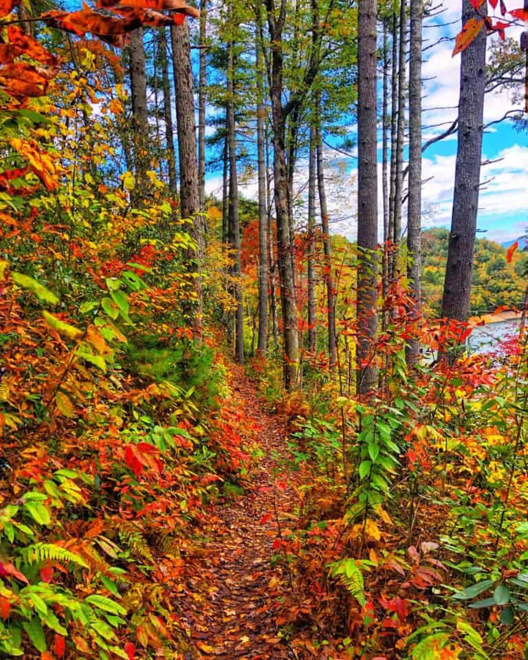 Great Smoky Mountains National Park & Bryson City NC Travel Guide