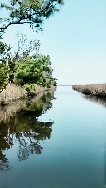 the best things to do in emerald isle north carolina – Off the Eaten Path