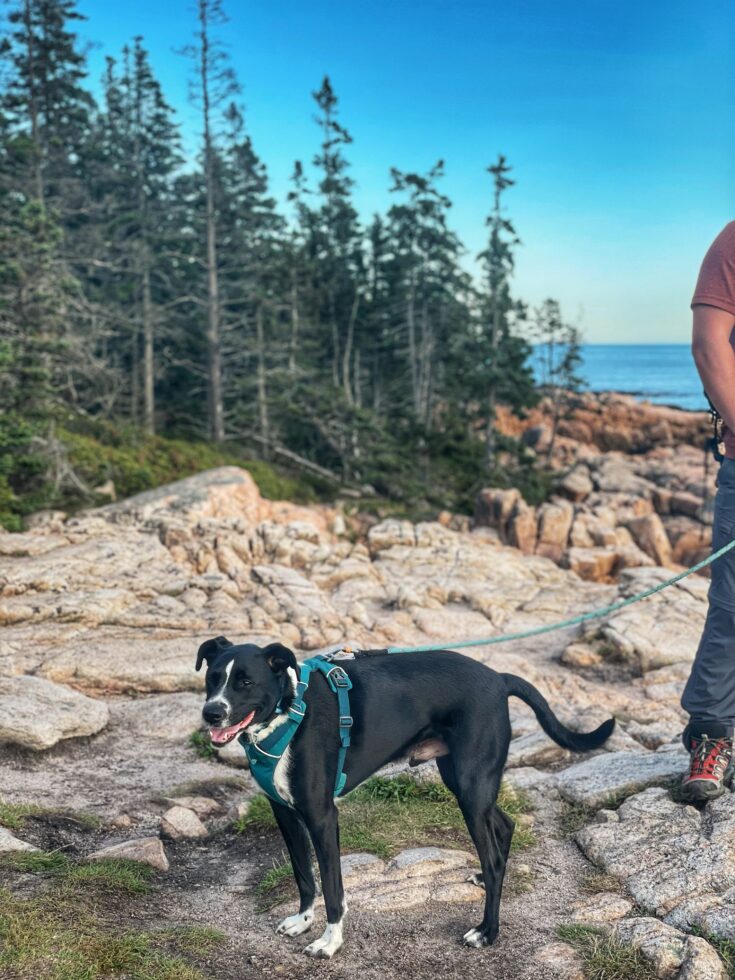 Two Days in Acadia National Park: Itinerary & Guide