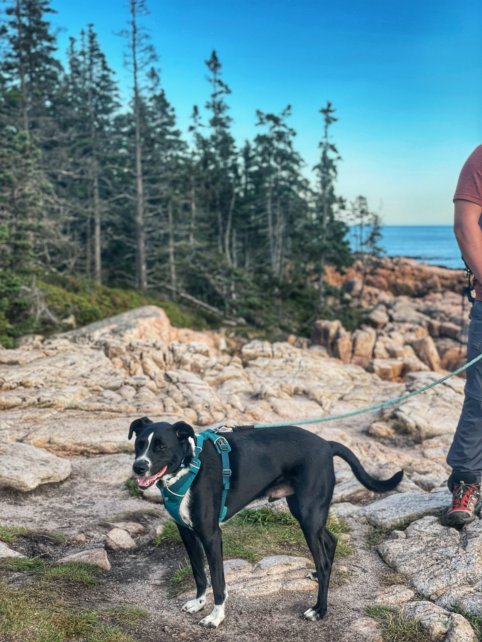 Two Days in Acadia National Park: Itinerary & Guide